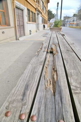 Podredumbre de la madera | La Prensa Austral