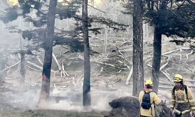 Directora de WCS en Chile no comparte visión de Conaf sobre turbera ...