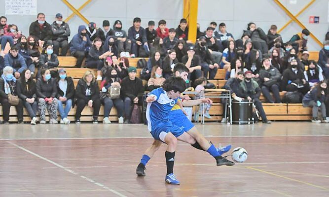 Campeonato del Insuco busca sus campeones | La Prensa Austral