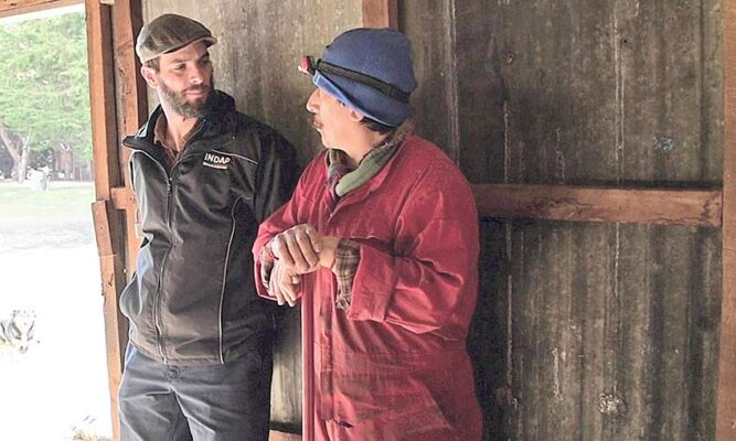 Indap Magallanes apuesta por avanzar hacia la consolidación de la ...