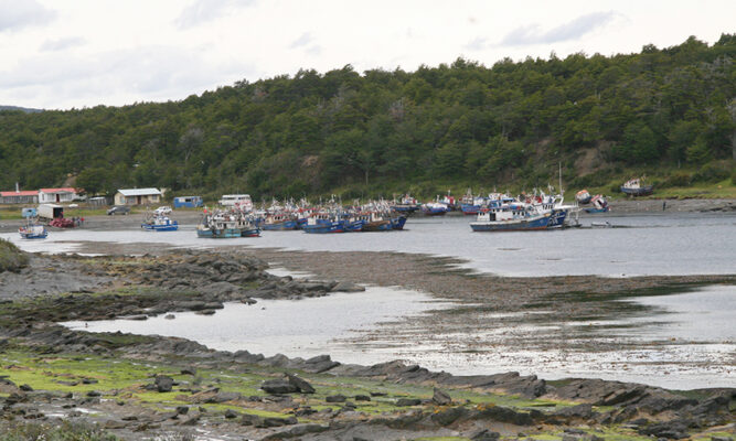 Diseñan construcción de caleta pesquera en Bahía Mansa con inversión de ...