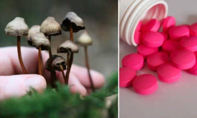 Australia: primer país en recetar fármacos con sustancias psicodélicas ...