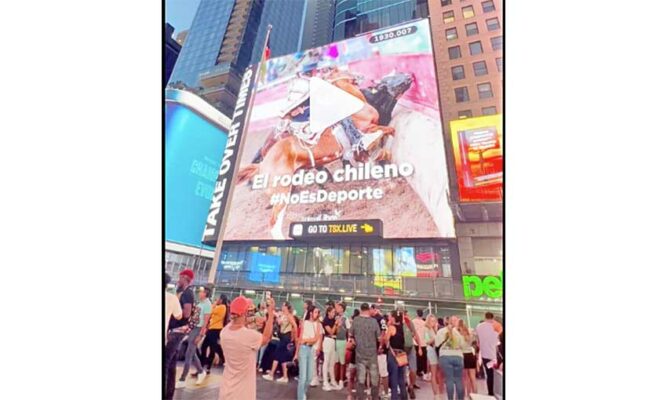 “No es deporte”: campaña en contra del rodeo chileno llega a Nueva York ...