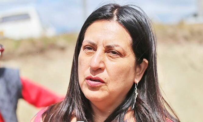 Dos consejeros regionales pidieron la renuncia de la seremi de la Mujer | La Prensa Austral