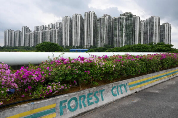 Forest City, la “ciudad fantasma” que una empresa china construyó en ...