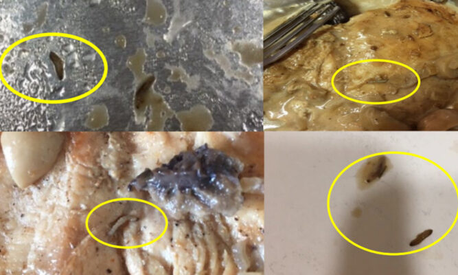 Restos de cabello, presencia de insectos y cocción inadecuada ...