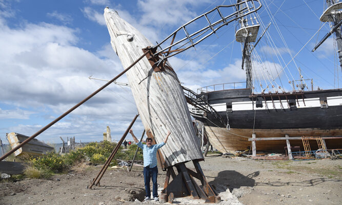 Matassi ahora apuesta por resaltar la figura de una ballena jorobada en ...