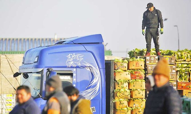 Mercado Lo Valledor anunció que pedirá carné de identidad chileno para ...