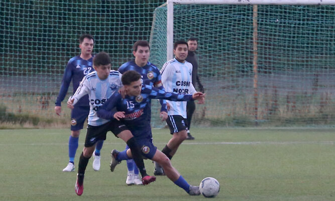 Cosal y Chile a la caza de Sokol | La Prensa Austral