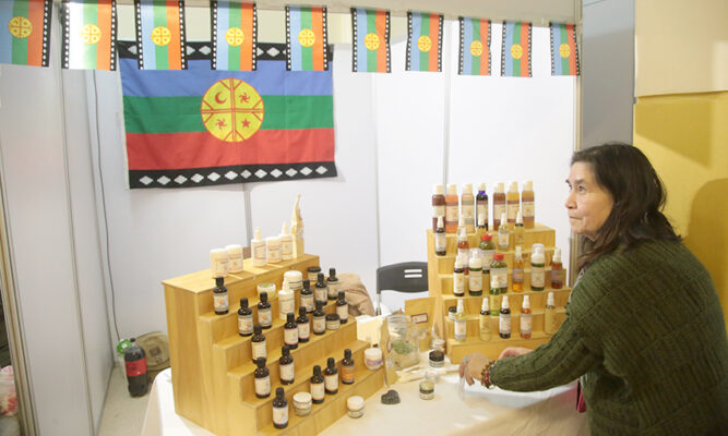 Marisol Raín y el retorno a las raíces: medicina y cosmética mapuche en ...