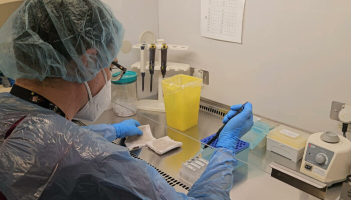 Implementan test PCR para detección temprana de VPH y prevención de ...